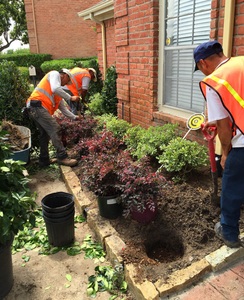 About Grass Lines Landscape Services | Houston Metro Area - Grass Lines ...